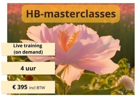 HB-masterclasses - Voor Hoogbegaafde Volwassenen - HB-trainingen